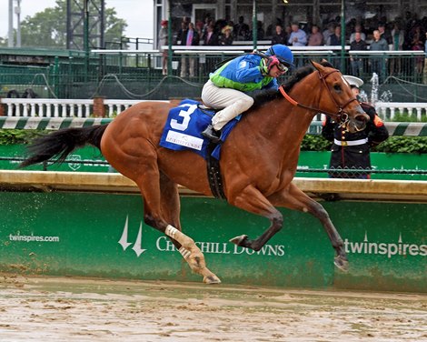 Anthony W. Dutrow Legendary Horses Trained – Dutrow's Barn