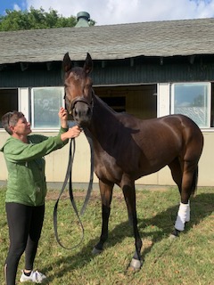 Anthony W. Dutrow Legendary Horses Trained – Dutrow's Barn